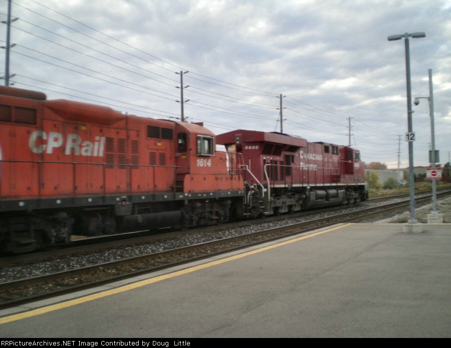 CP 8800